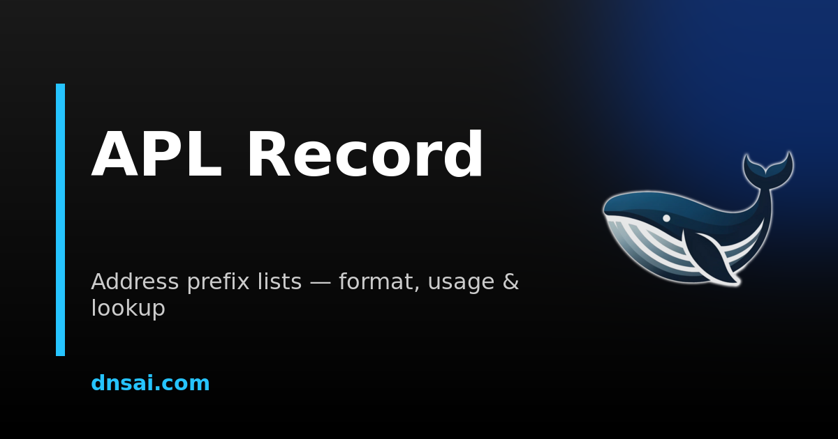 APL Record — Definition, Format & How It Works | DNSai